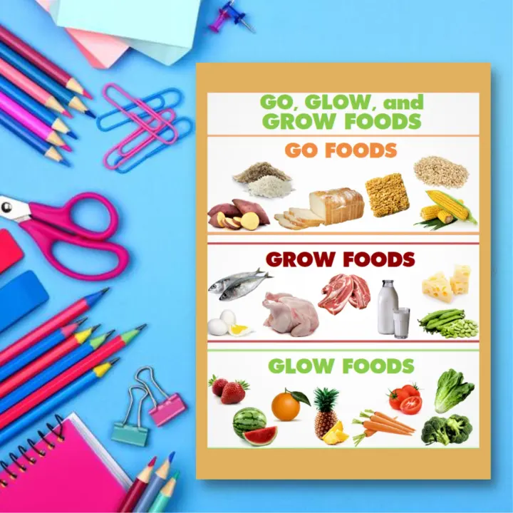 Go Glow Grow Foods Laminated Educational Charts | Lazada PH