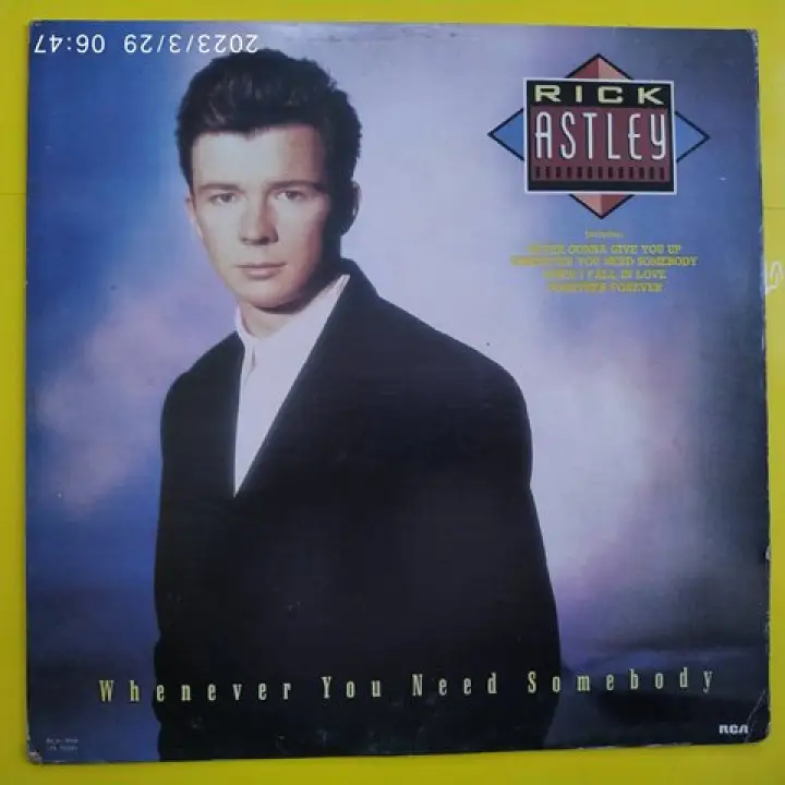 Rick Astley Whenever You Need Somebody (This is Original Pressing from ...