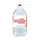 Nature's Spring pH9 Alkaline Drinking Water 6.6L | Lazada PH