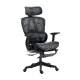 INPLAY EF100-G V2 Ergonomic Chair Adjustable Breathable Design Long ...