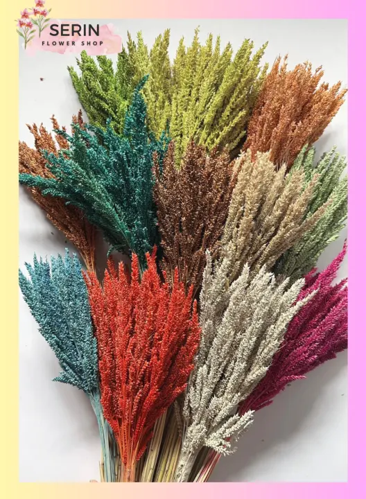 Trigo Dried Flower Colored Trigo (30 stems bundle) BEST SELLER FLOWER ...