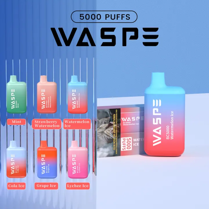WASPE 5000 PUFFS Disposable puff Sleep Focus Performax Energy Diet ...