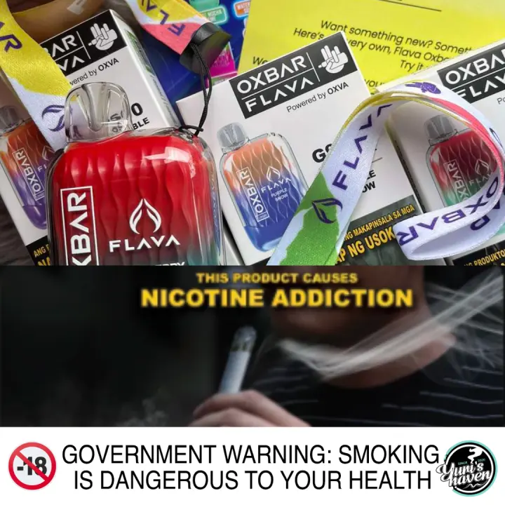 Flava Oxbar G9500 with free lanyard GHW Compliant | Authentic | Type C ...