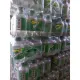 COCA COLA 200ml SWAKTO 12pcs x 1 Case - COKE Sprite Royal Original ...