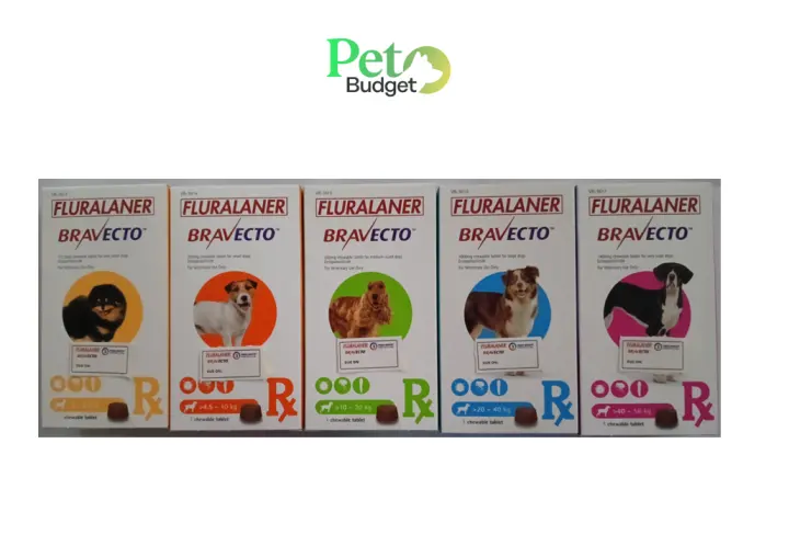 Bravecto Anti Tick and Flea for Dogs (with Sticker) | Lazada PH